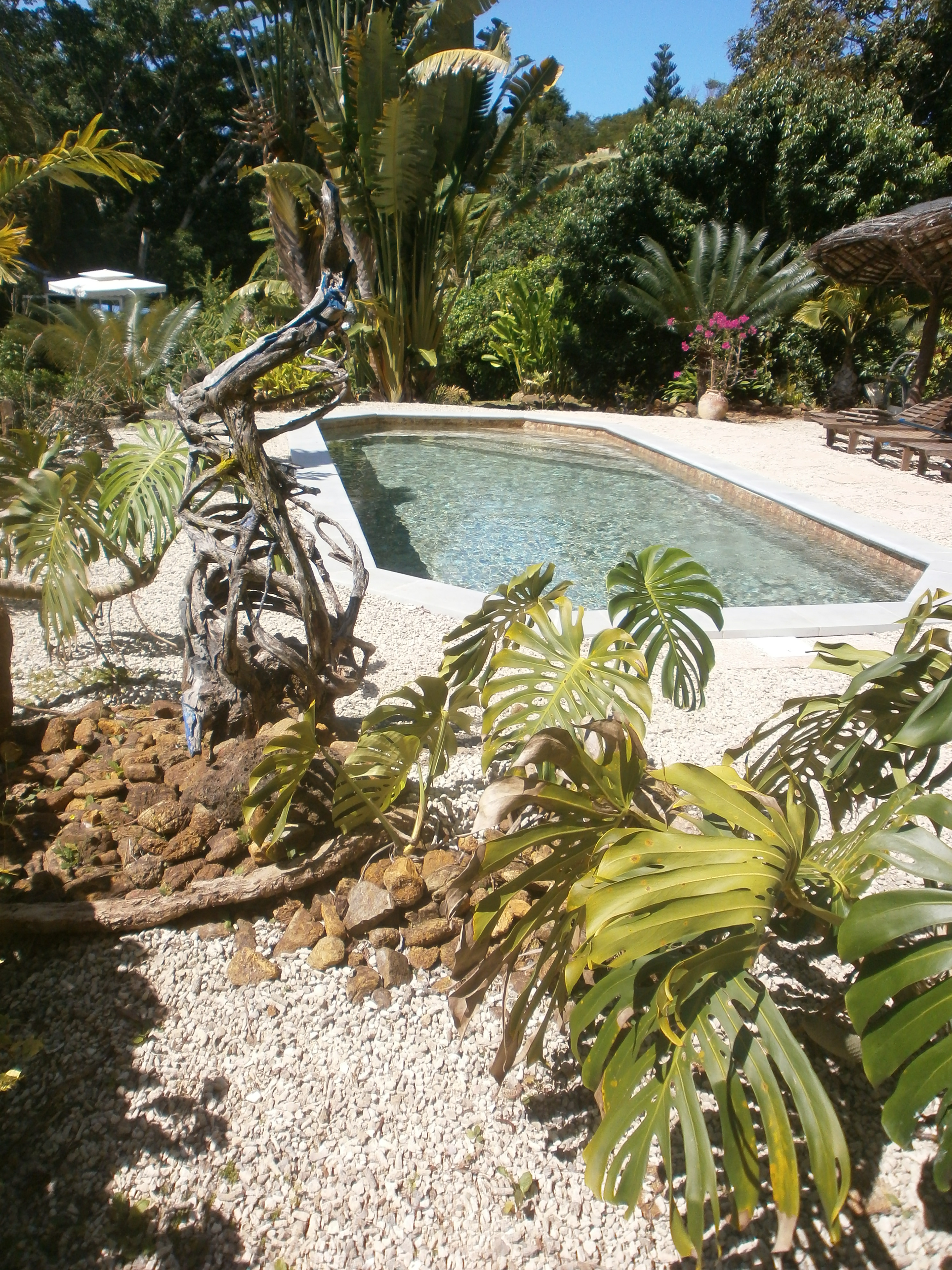 Histoire de piscines – Construction – Team Pacific Piscines